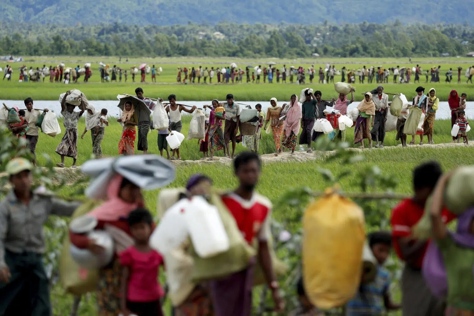 Police Arrest Seven Rohingya in Irrawaddy Region - Arakan News Agency